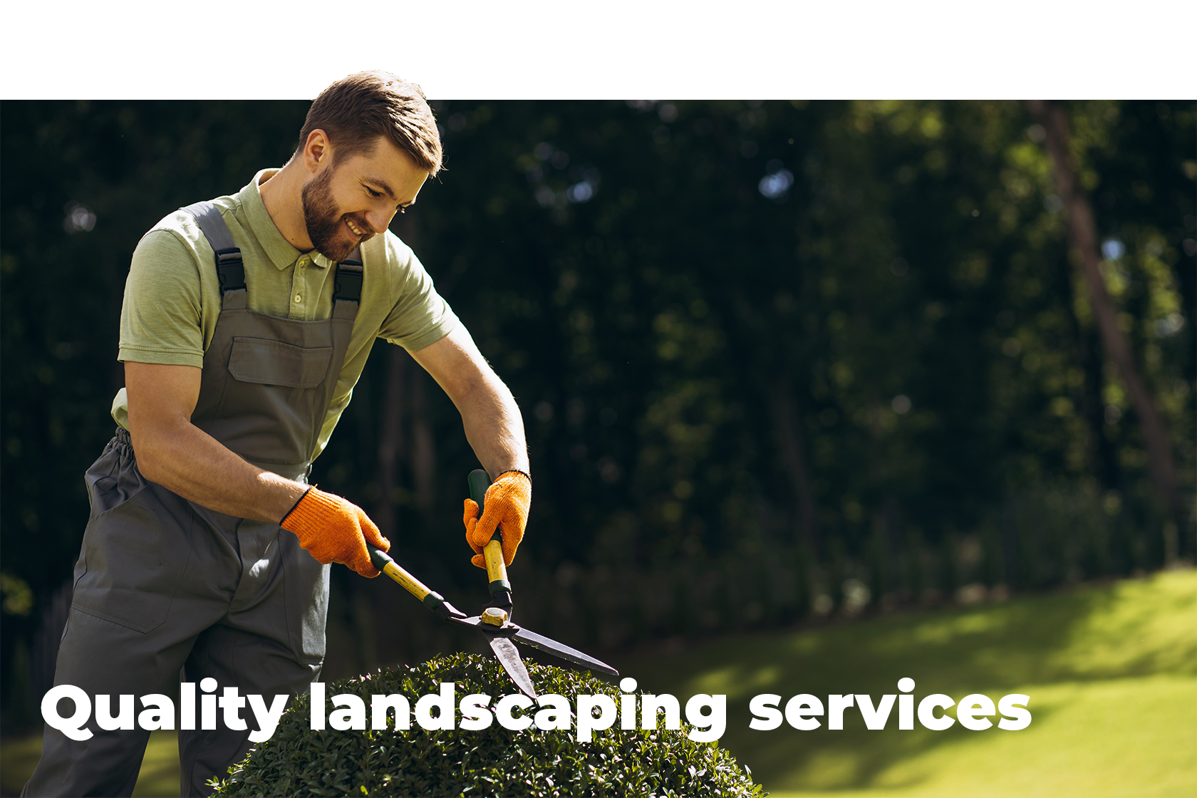 Whitby Landscapes Ltd